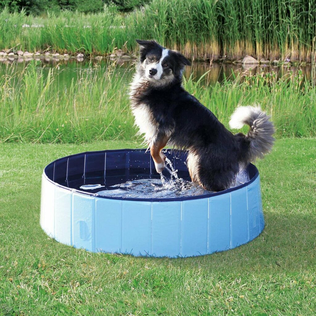PawsomeSummer Collapsible Dog Pool - Pawfect Way