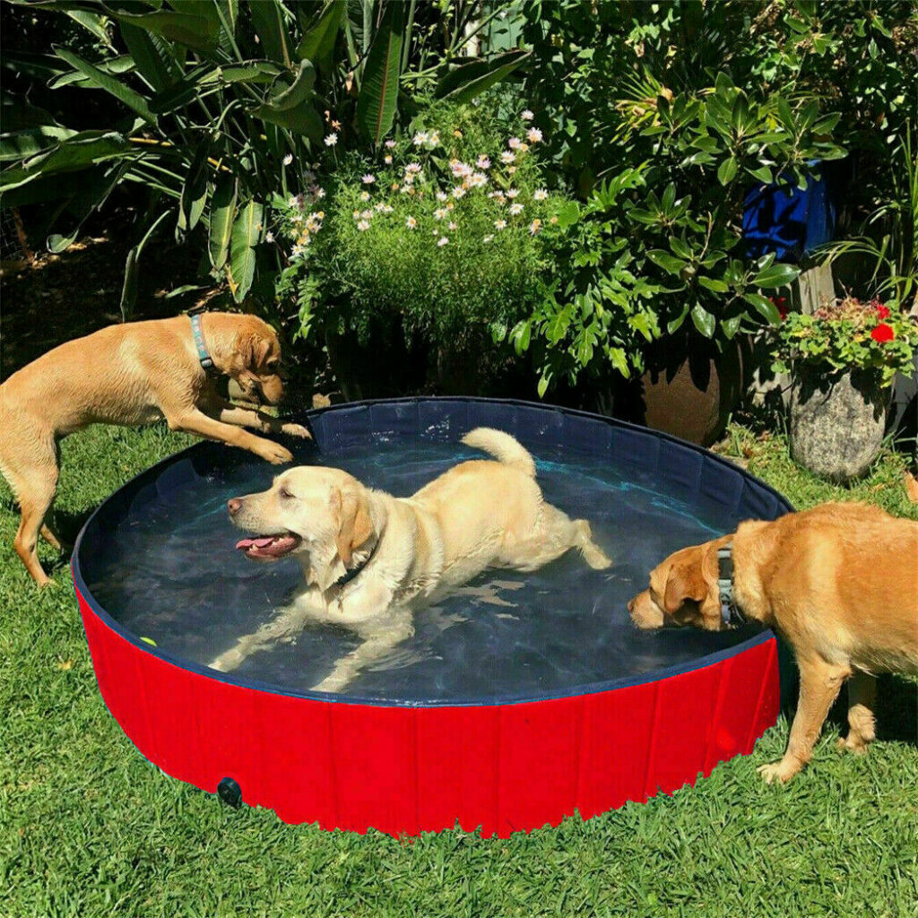 PawsomeSummer Collapsible Dog Pool - Pawfect Way