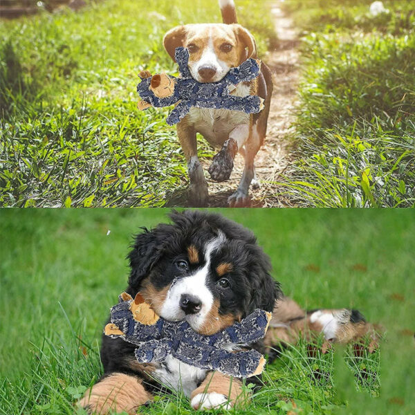 DuraBear Indestructible Dog Chew Toy - Pawfect Way