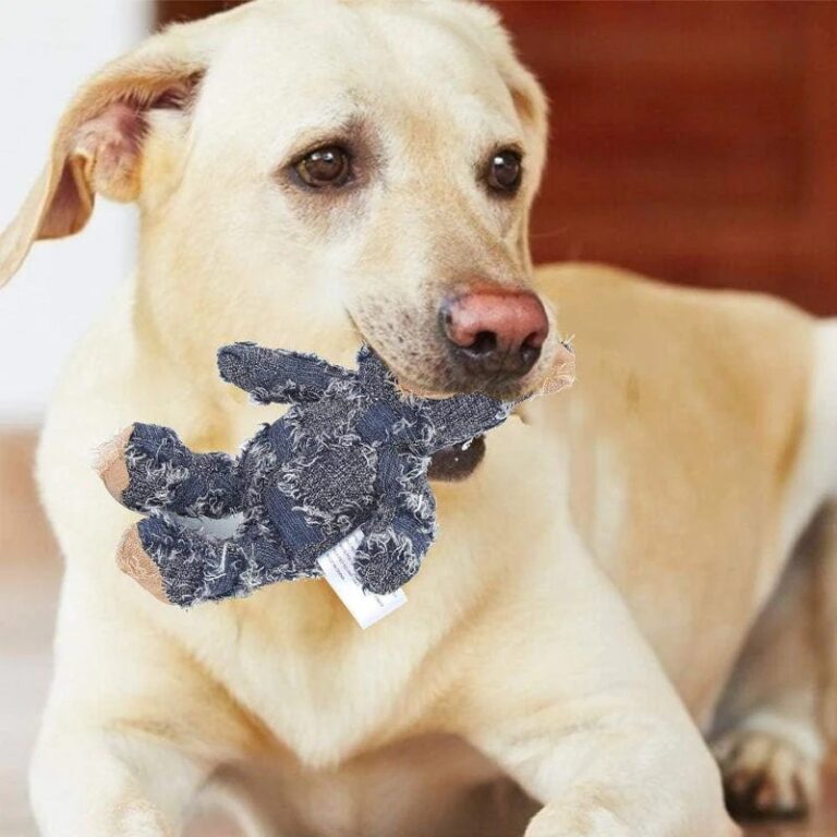 DuraBear Indestructible Dog Chew Toy - Pawfect Way