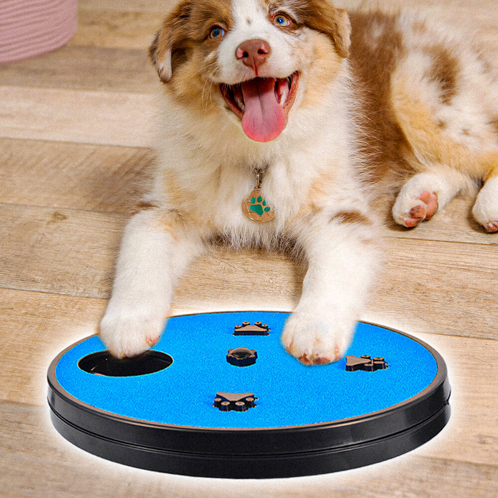 FurBuddy Nail Disk - Pawfect Way