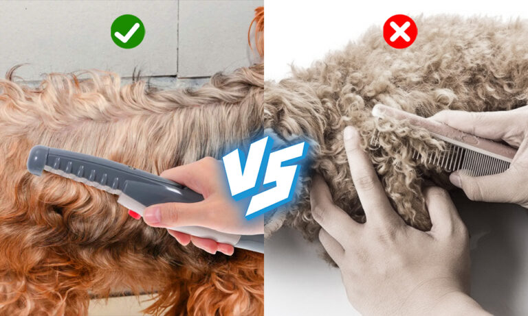 MatAway E-Comb - Pawfect Way